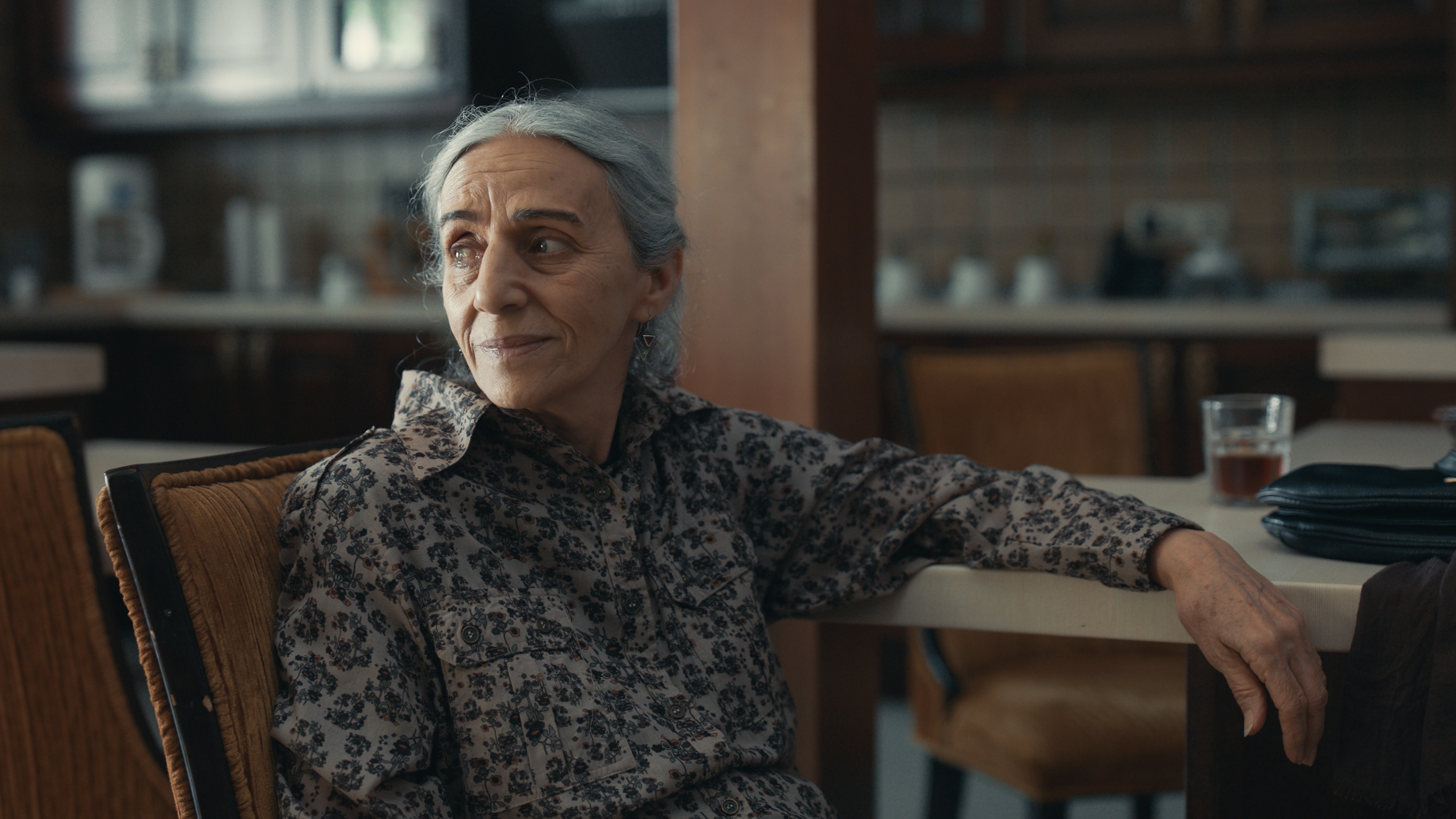 La Femme qui en savait trop (Nader Saeivar)